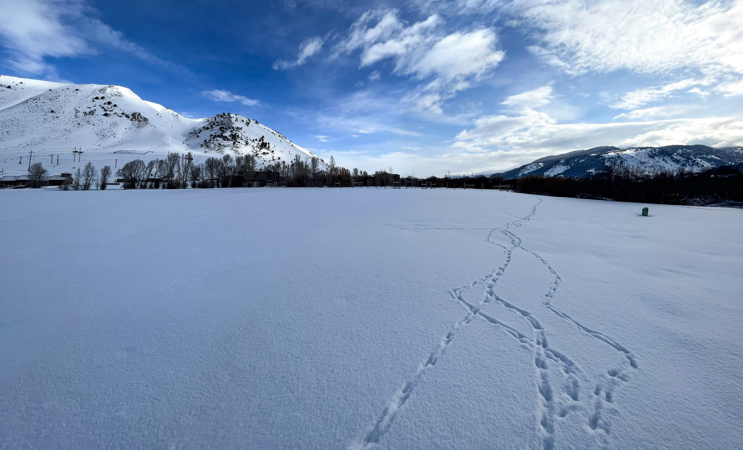Conserving Karns Meadow - Jackson Hole Conservation Alliance